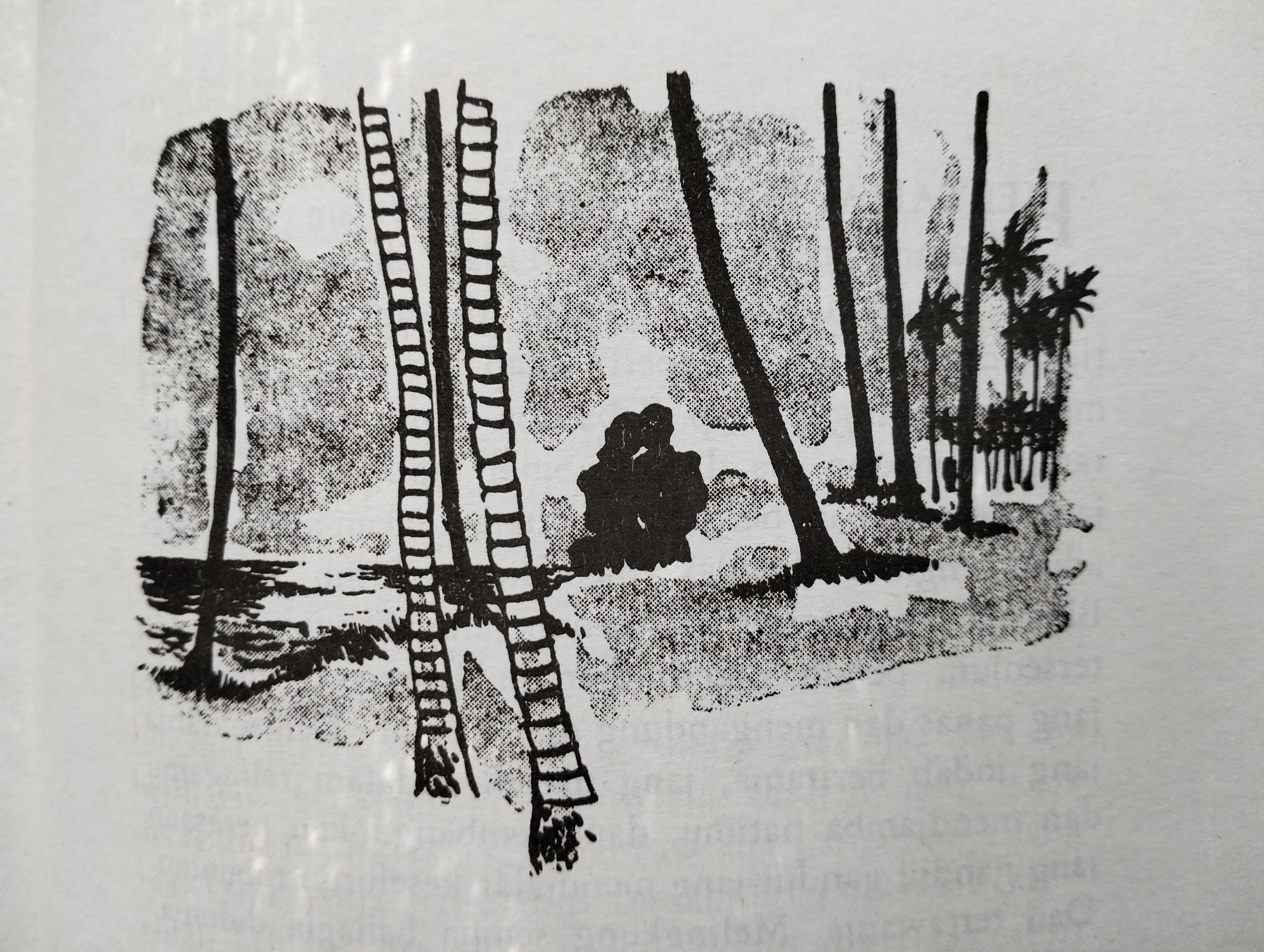 Short Story: Coming and Going by Mochtar Lubis – Stories From Indonesia